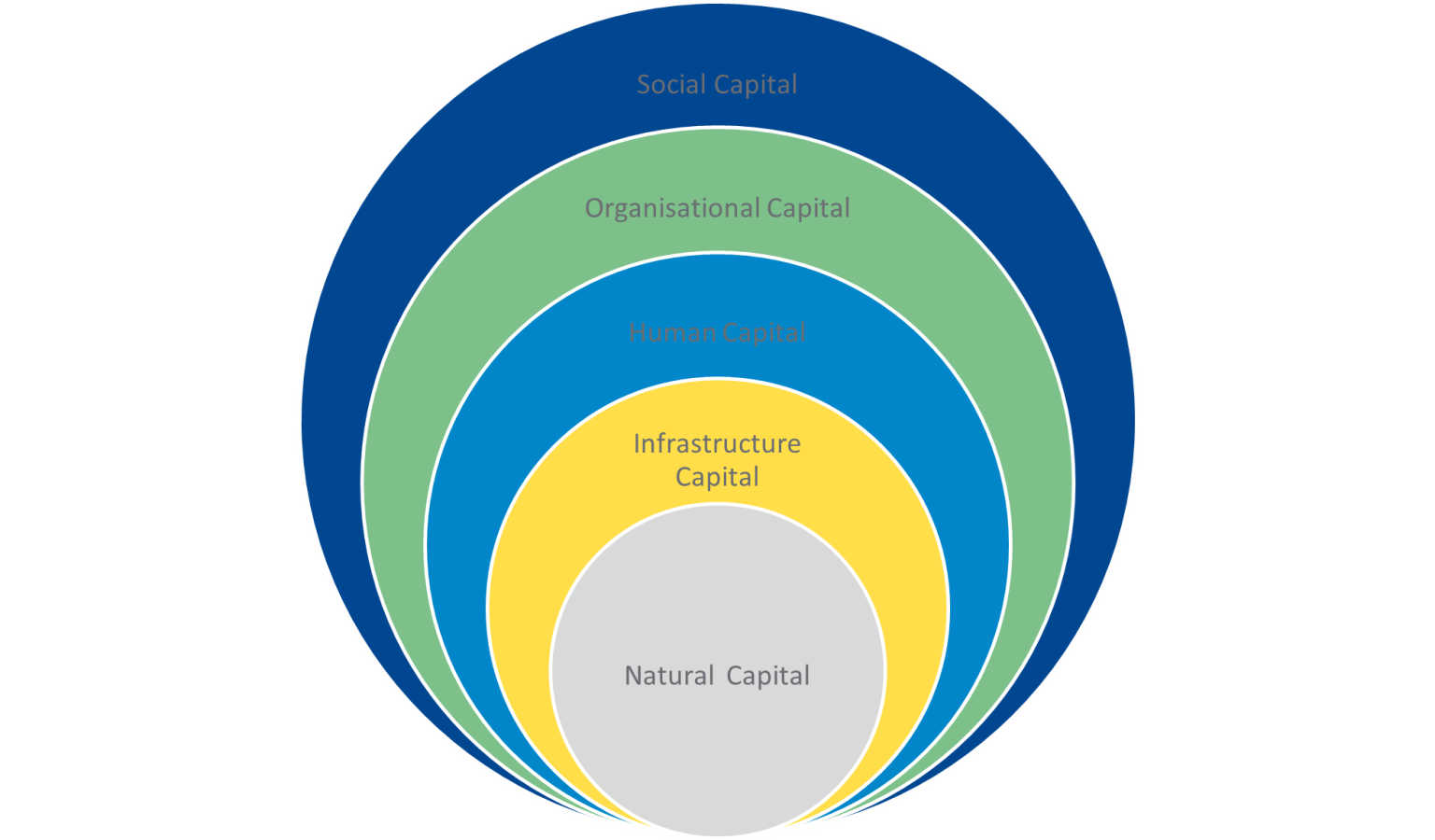 The Business Case for Natural Capital: How Investing in the Environment ...